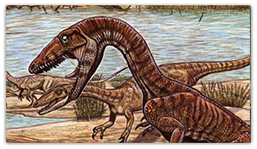 Fósseis Estudados - Laboratório de Paleontologia USP - Ribeirão Preto